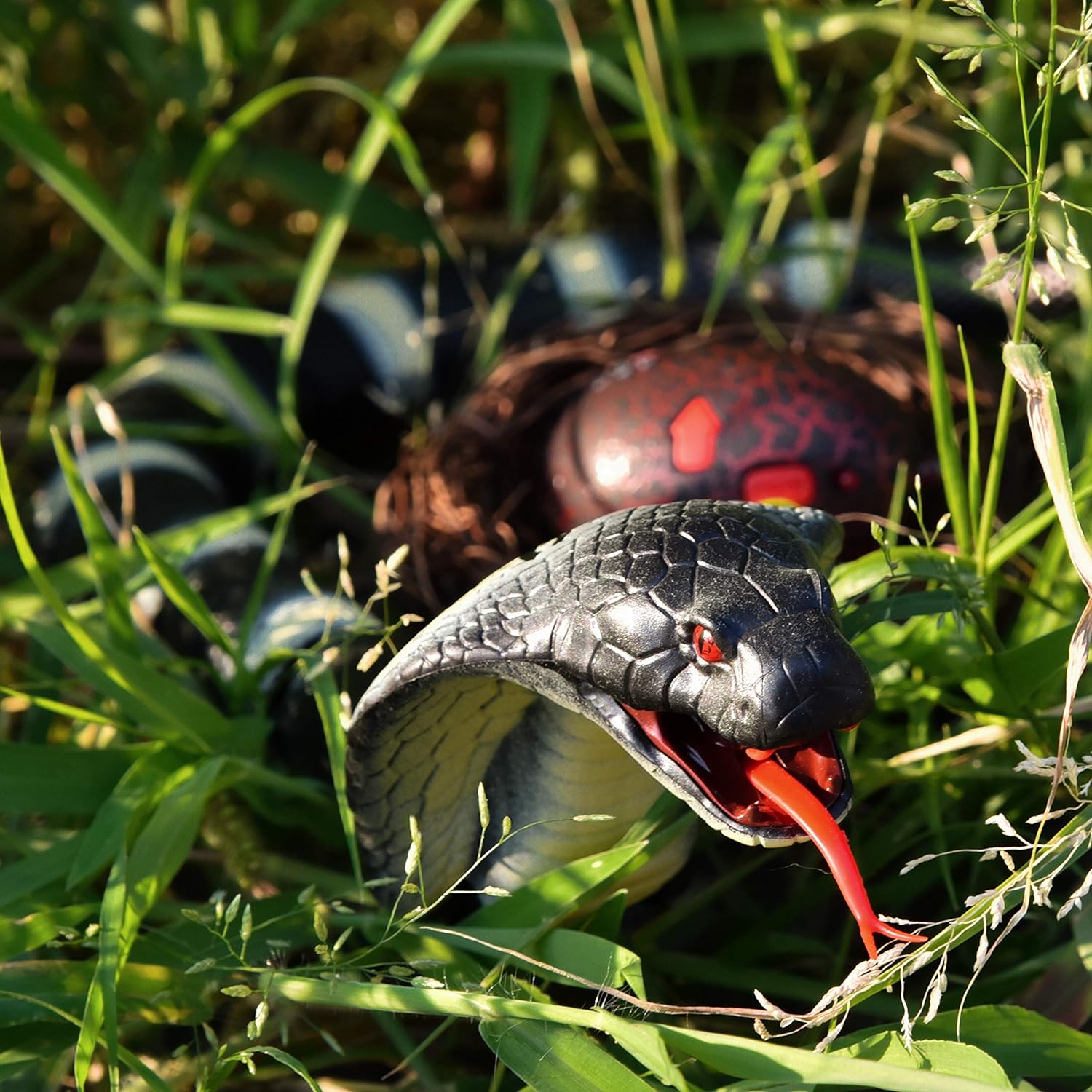 Best Remote Control Snake That Looks Real: Buyers' Guide - RC Ratings